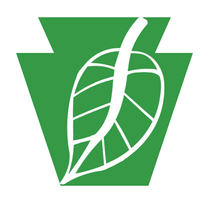 What is a Native Plant? – Bruce Nurseries | Davidsville