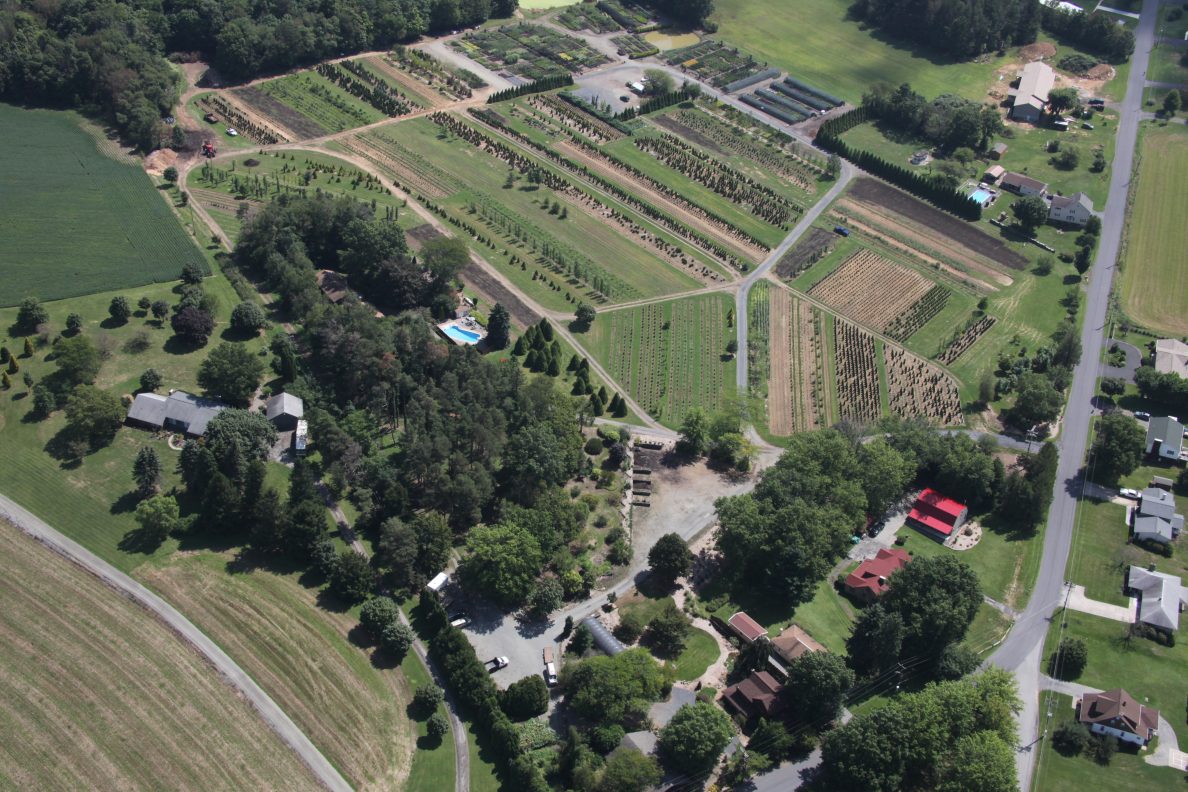 Bruce Nurseries | Davidsville – Growing Since 1945